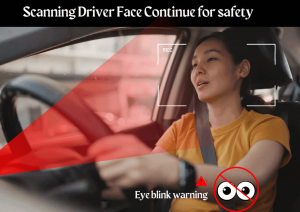 DFMS - SATYA IT SOLUTION